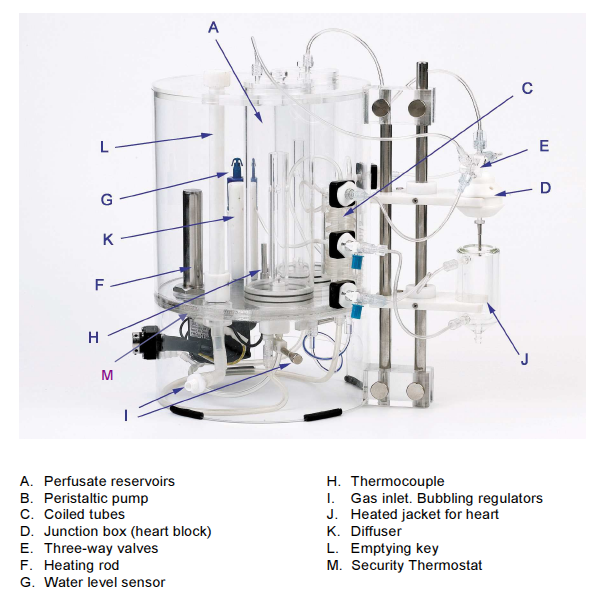 Panlab Langendorff LE 05.200 – HBIO Harvard Apparatus