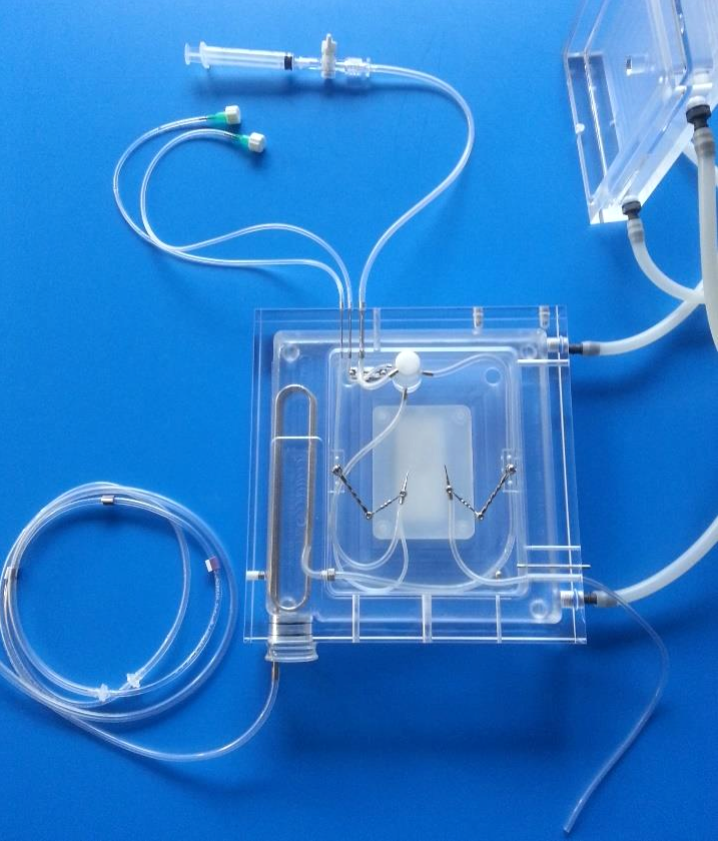 73-2901 HSE Thermostatic Moist Chamber Type 834/8 – HBIO Harvard Apparatus